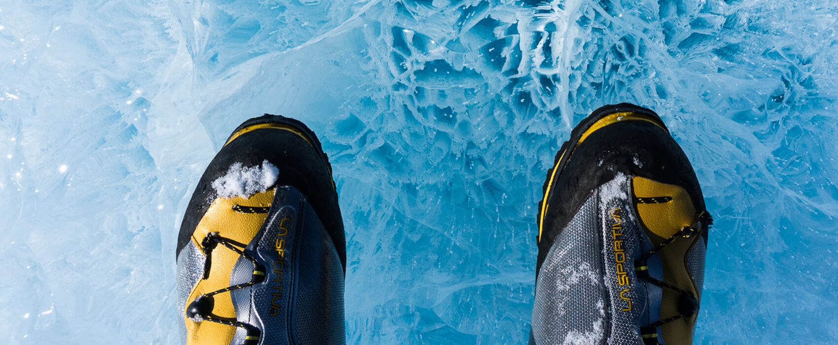 Latest News - Antarctic Logistics & Expeditions